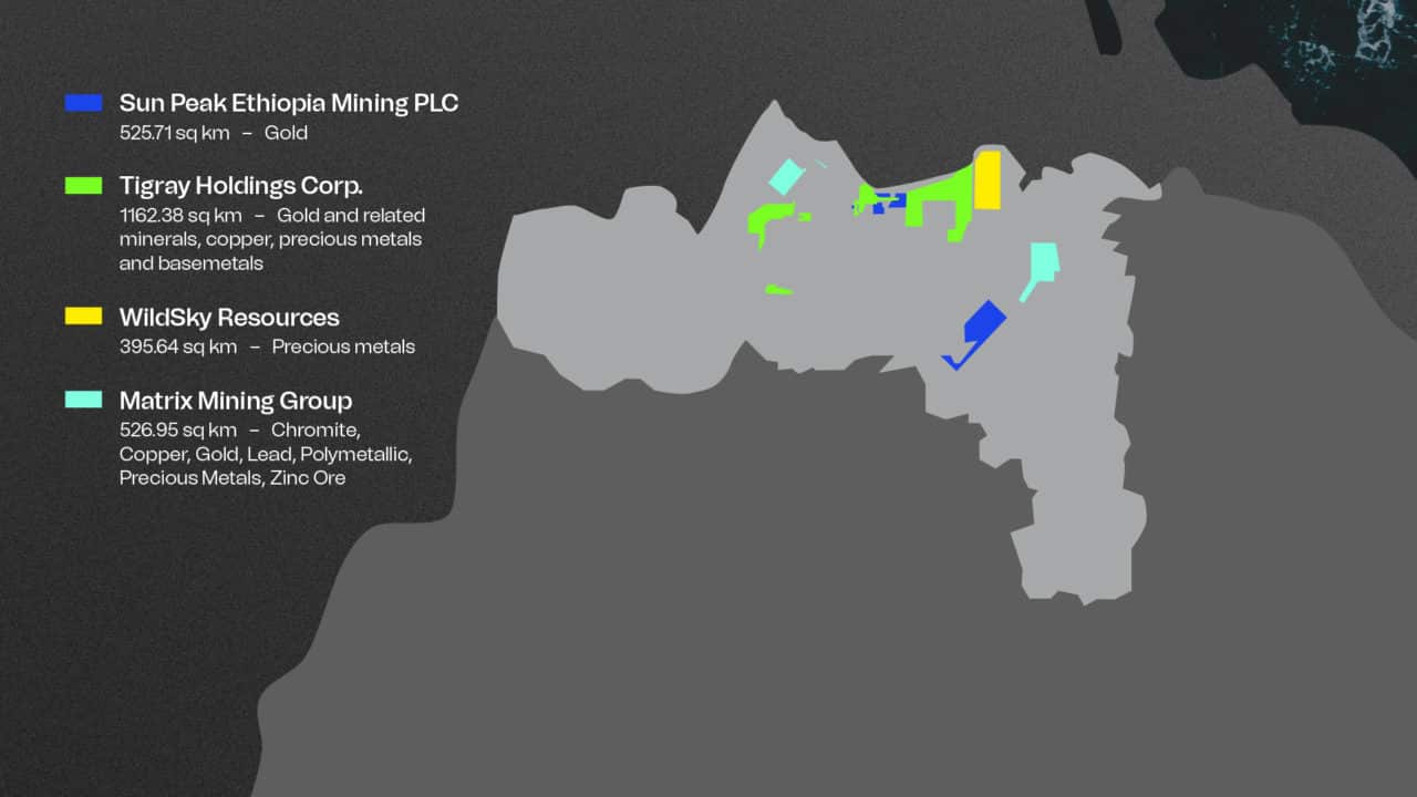 Leaked report accuses Canada of covering for mining companies in war ...